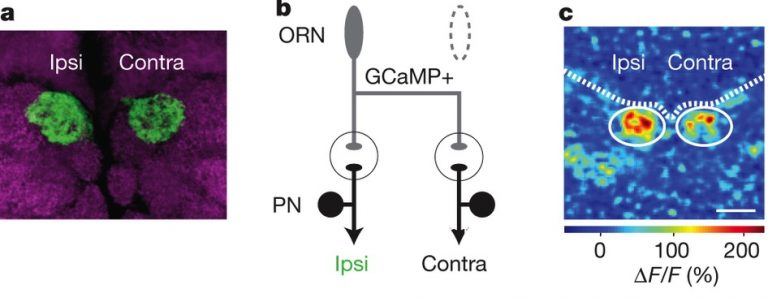 Figure 3 - Mapping Ignorance
