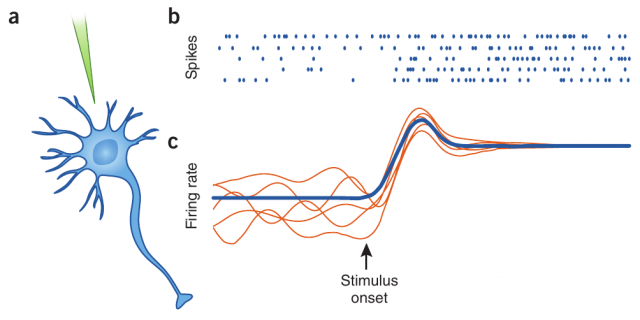 The origins of neural variability - Mapping Ignorance