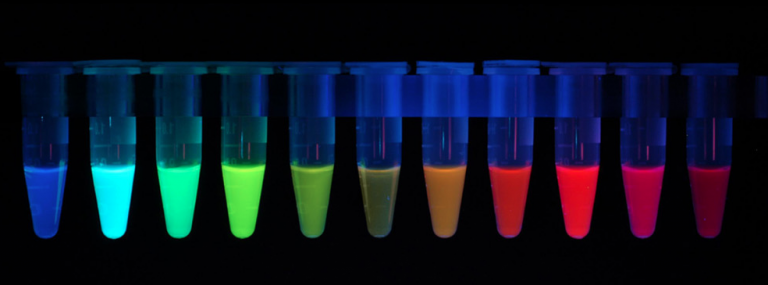 The use of natural fluorescent proteins for studying life - Mapping ...