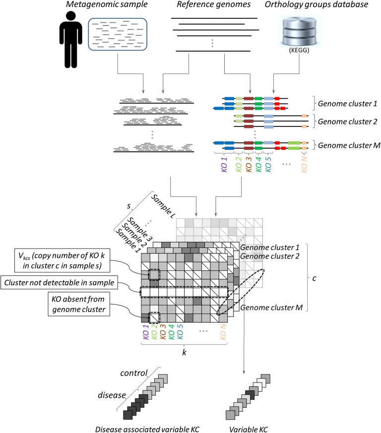 PowerPoint Presentation - Mapping Ignorance
