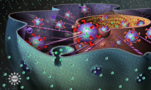 metastatic impulse 2 - Mapping Ignorance