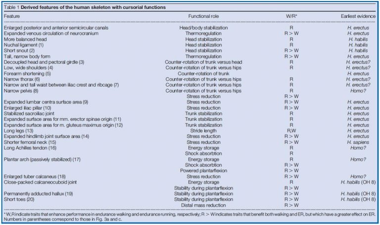 endurance 4 - Mapping Ignorance