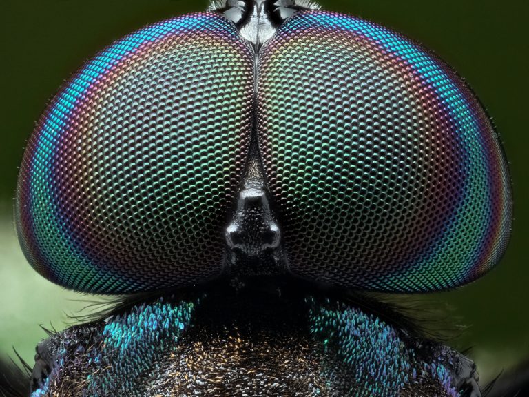 A membrane with voltage-dependent conductances increases the energy ...