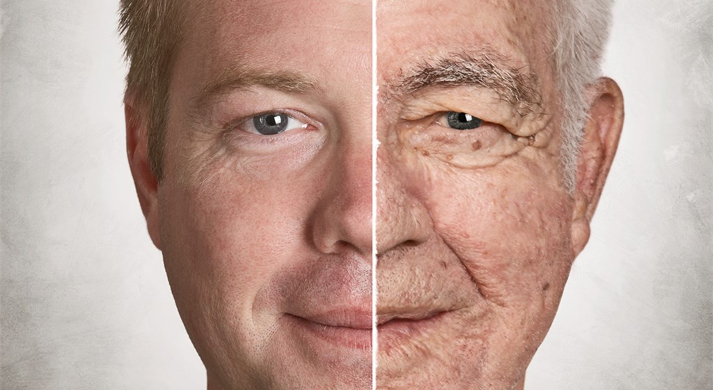 One Year Or One Cell Division Older Mapping Ignorance One Year Or One Cell Division Older Mapping Ignorance