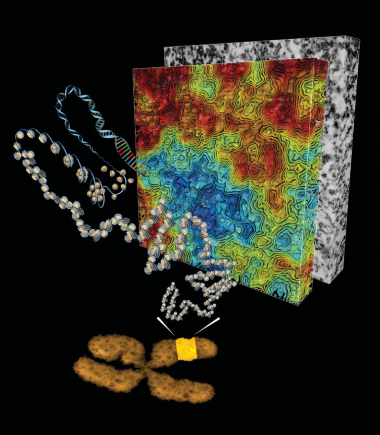 How Is Chromatin Structured Mapping Ignorance
