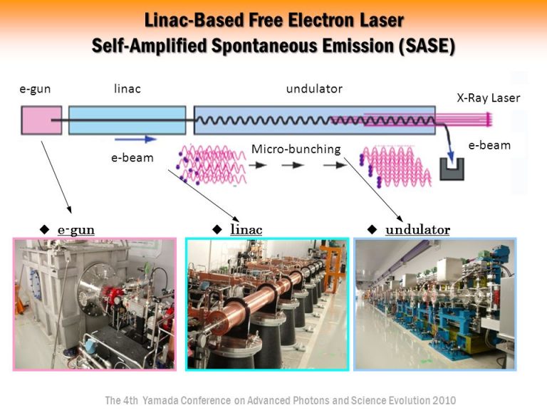 Attoscience using X-ray free-electron lasers - Mapping Ignorance