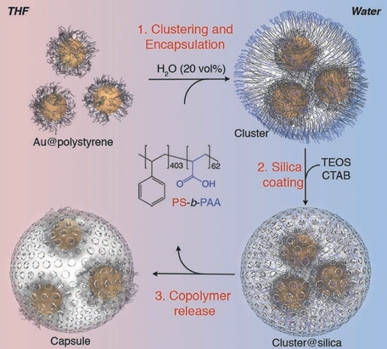 Solvent-induced reversible clustering of gold nanoparticles - Mapping ...