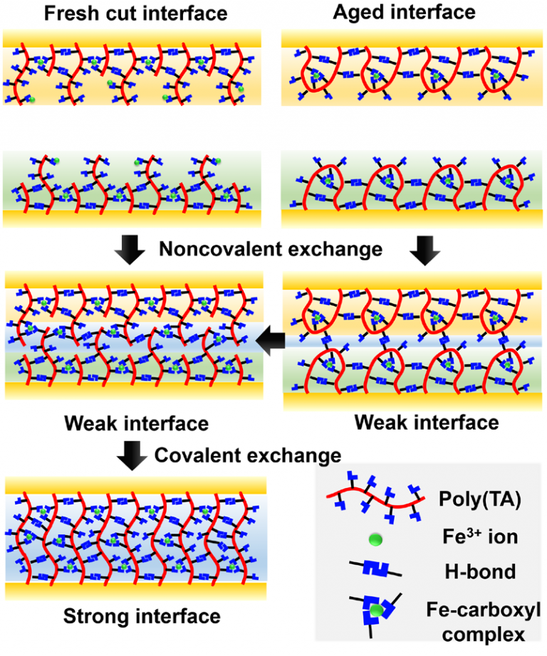 Figure 4 - Mapping Ignorance