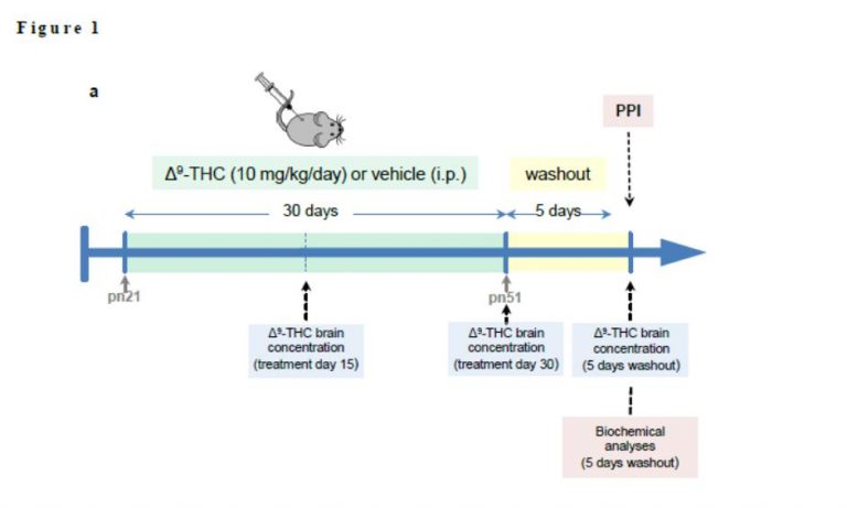 figure 1 - Mapping Ignorance