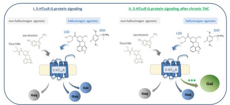 figure 2 - Mapping Ignorance
