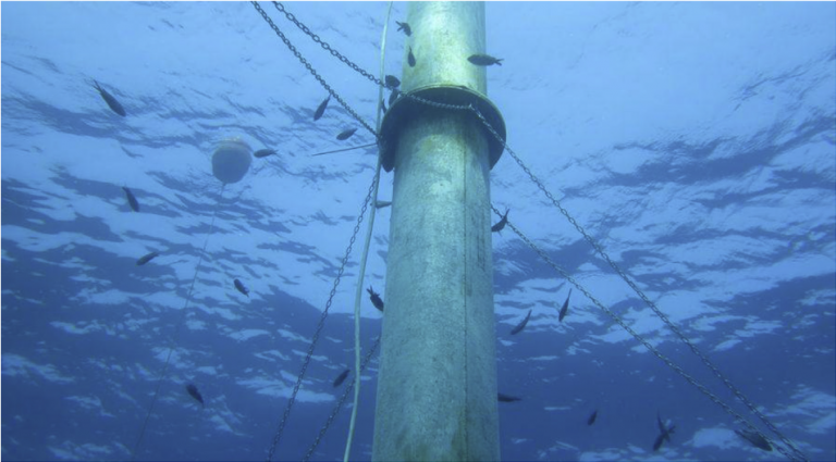 Open Sea Experiments On A Spar Floating Support For Offshore Wind