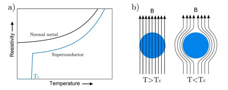 Electron-phonon coupling enhancement in Sn nanowires - Mapping Ignorance