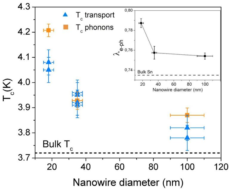 Electron-phonon coupling enhancement in Sn nanowires - Mapping Ignorance