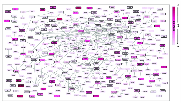 Loperamide and autism - Mapping Ignorance