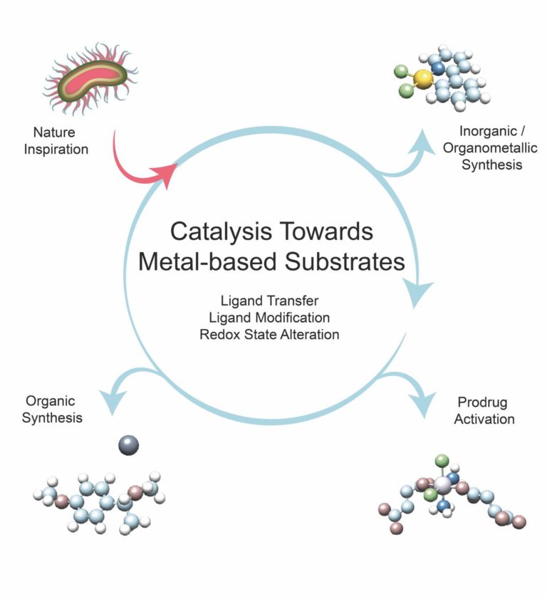 Metal substrates in catalytic reactions - Mapping Ignorance