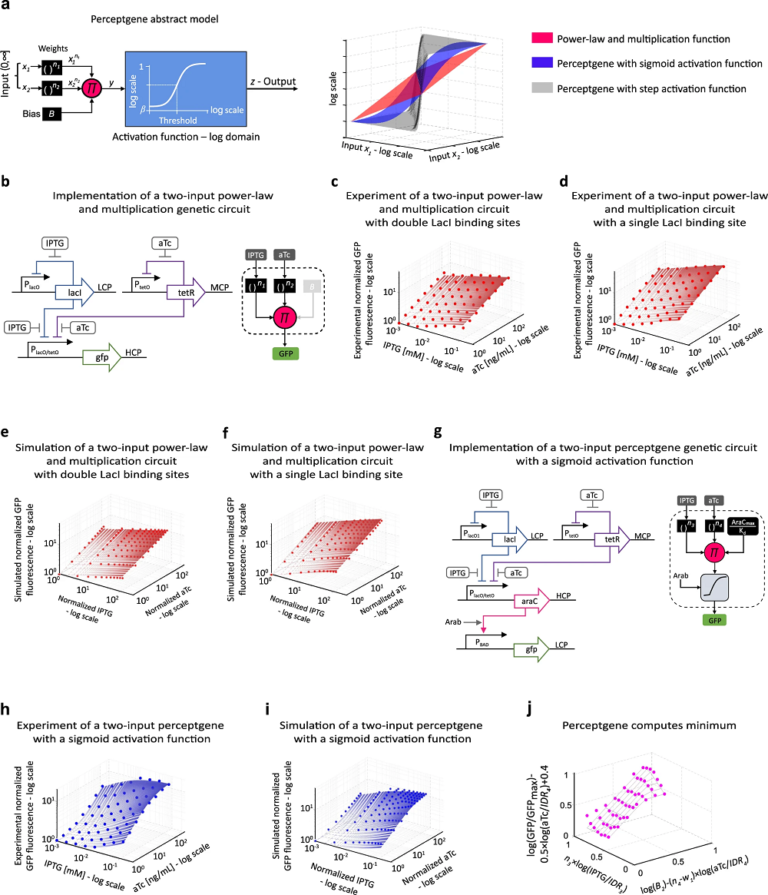 Neuromorphic electronics into bacterial cells - Mapping Ignorance