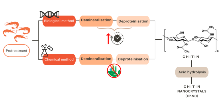 png2b - Mapping Ignorance