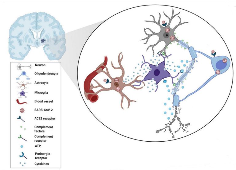 Figure 1 - Mapping Ignorance