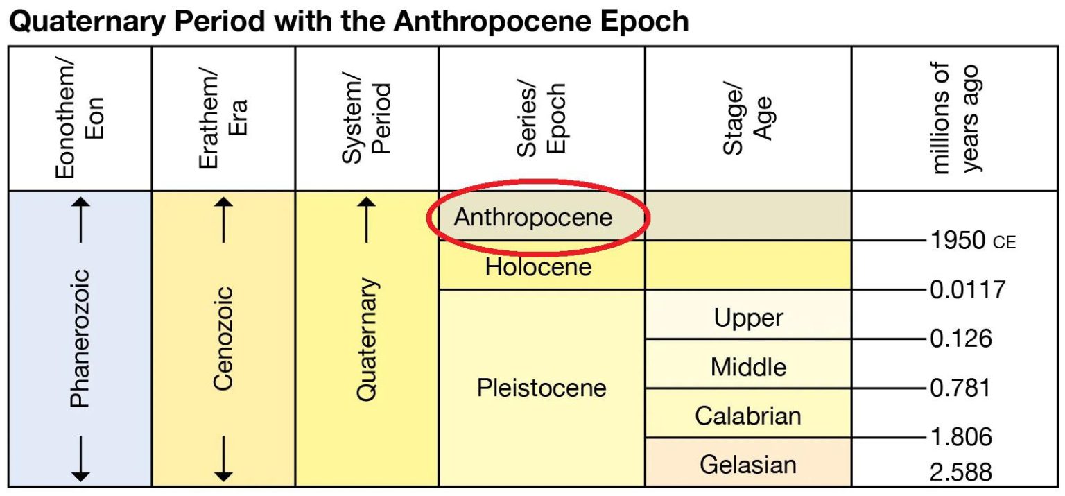 Anthropocene rejected