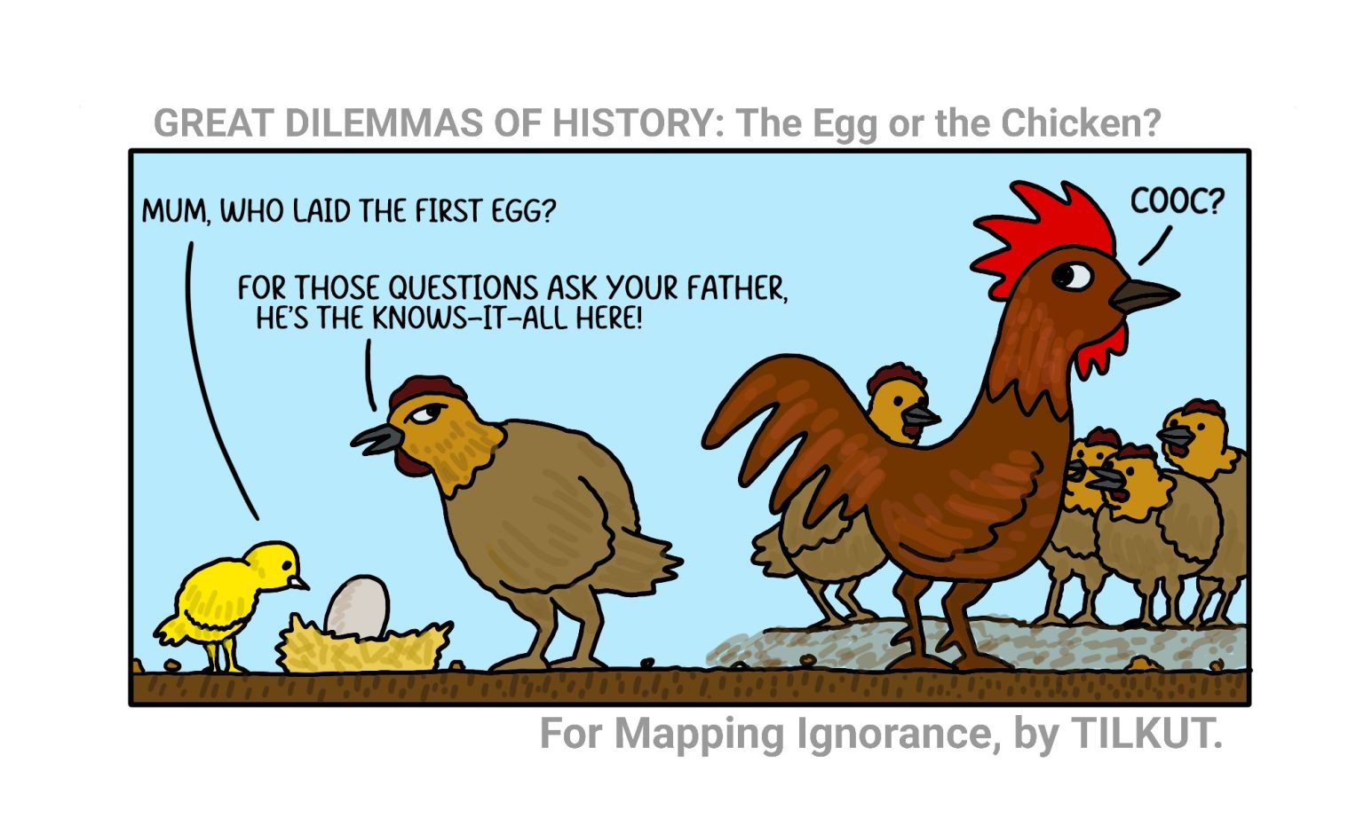 Great dilemmas of history - Mapping Ignorance