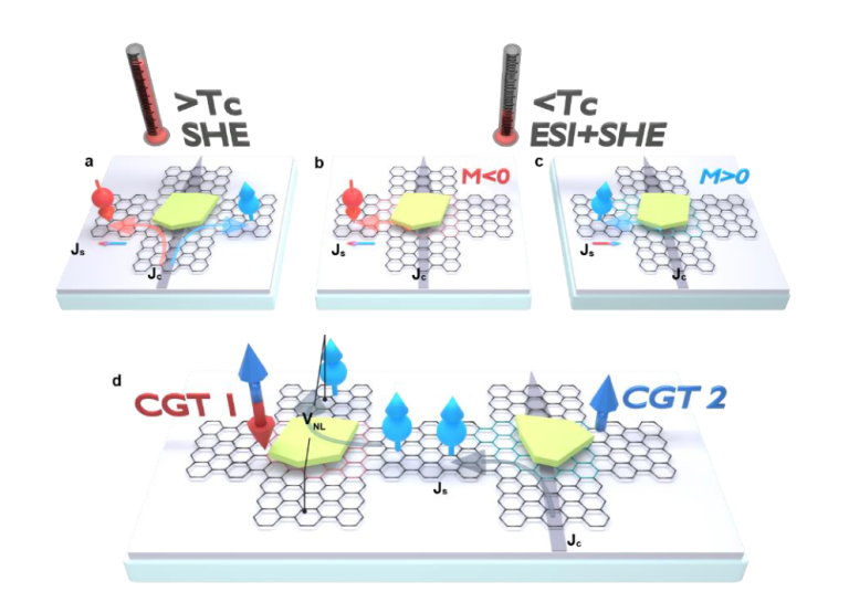 A seamless 2D spintronic device by proximity effects