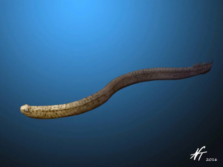 image 2 - Mapping Ignorance